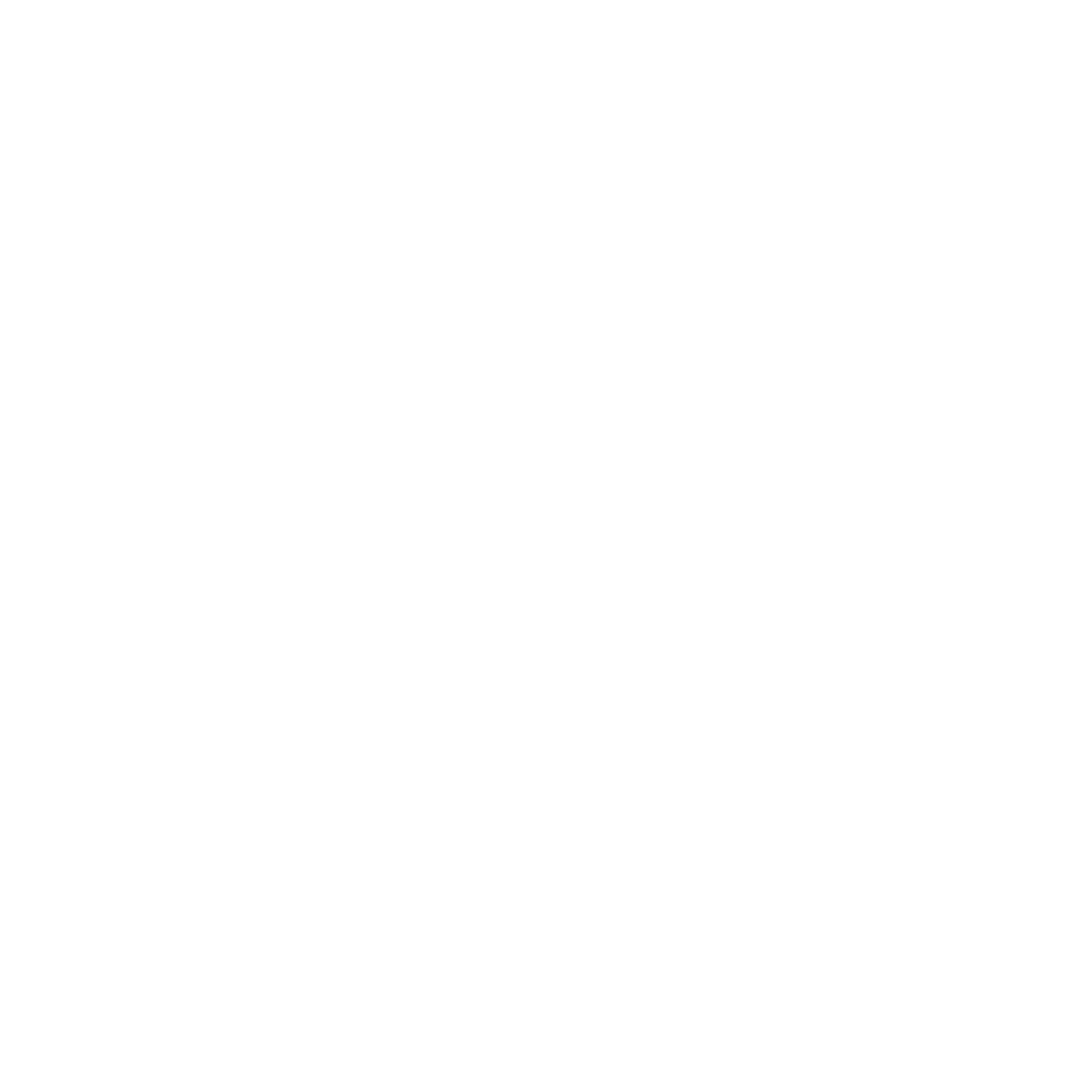 Rebrand Service - Phoenix - Iron Dragon Design