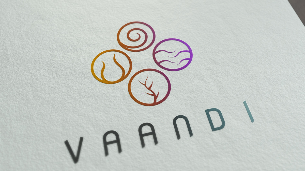 Vaandi Rebrand - Iron Dragon Design